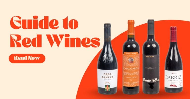 A Comprehensive Guide to Red Wines: Varieties, Flavors, and Food ...